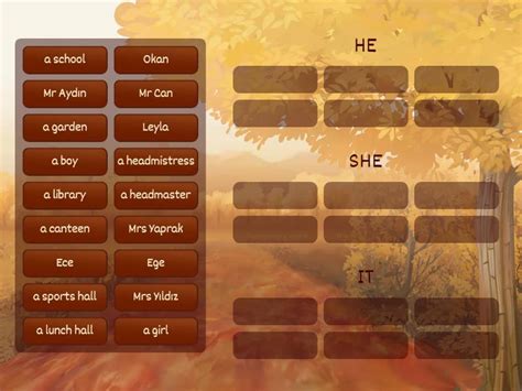 School Life He She It 2 Group Sort