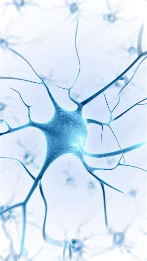 Inside The Human Brain
