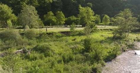 Daba 影像 瀏覽 964 個素材庫相片、向量圖和影片 Adobe Stock