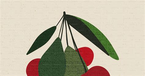 일본식 과일의 빈티지 삽화 메뉴 디자인 레스토랑 장식 식료품점 포스터 사진 Unsplash의 나무 이미지