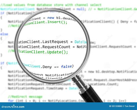 Code Review Stock Illustration Illustration Of Reviewing 55133888