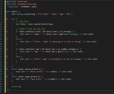 C C 에서 Json 파싱시 오류 방지를 위한 방법 Egoist