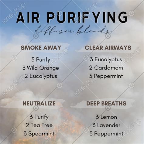 Air Purifying Diffuser Blends By Pixel Perfect
