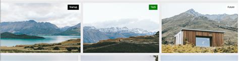 [share] how to add label over gallery strips fonts colors and images