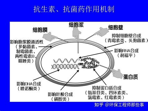 抗生素废水怎么处理？ 知乎