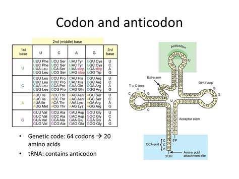 PPT 2 주차 수업자료 PowerPoint Presentation free download ID 4779771