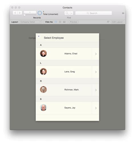 FileMaker Card Window