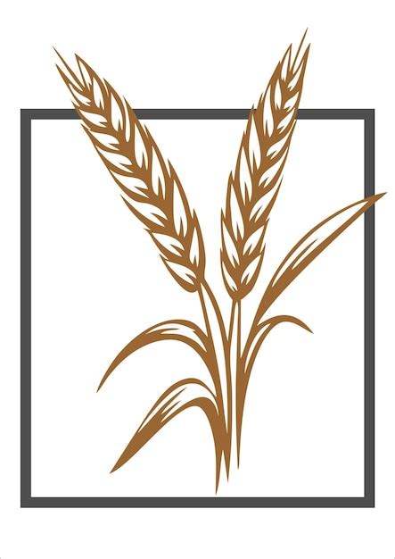 Premium Vector Simple And Elegant Wheat Grain Plant Vector