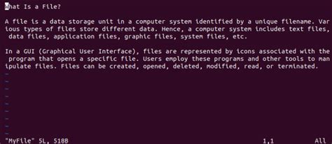 How To Open A File In Bash Phoenixnap Kb