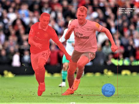 i will accurately annotate images videos polygons and any data