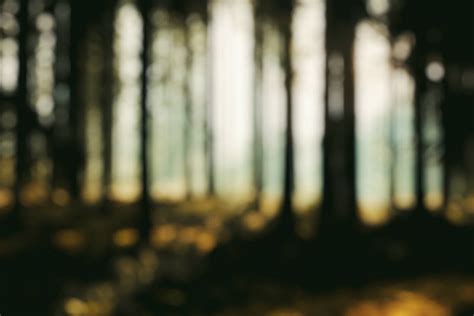 Forest Bokeh Background By Kingfudgenugget On Deviantart