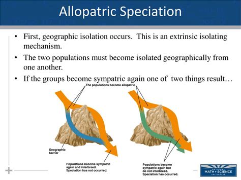 Ppt Macroevolution Part Ii Allopatric Speciation Powerpoint Presentation Id 6718335