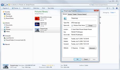 Working With Metadata In Assets Home