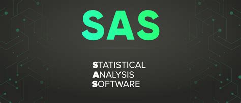 Sas Software