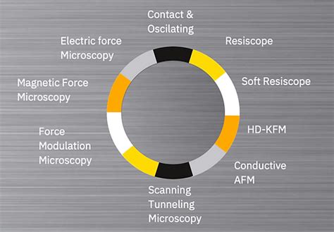 Csinstruments Nano Observer Ii Next Gen Atomic Force Microscope