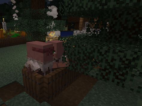 Why Do They All Keep Getting Stuck In These They Cant Get Out And