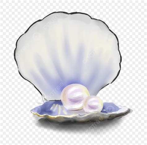 진주 진주 클립 아트 진주 껍질 Png 일러스트 및 Psd 이미지 무료 다운로드 Pngtree