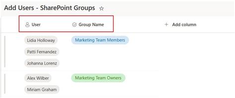 Add Multiple Users To Sharepoint Group Using Power Automate