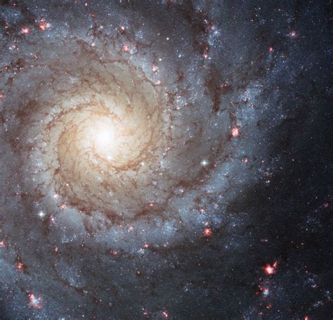 Sequência de Fibonacci Matemática InfoEscola