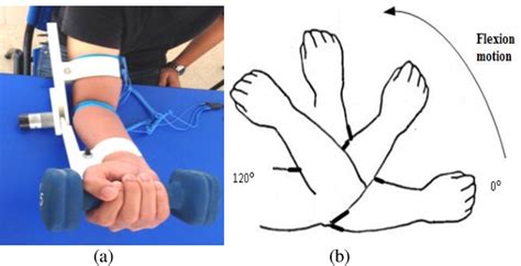 Figure 2 From Predicting Emg Based Elbow Joint Torque Model Using Multiple Input Ann Neurons For