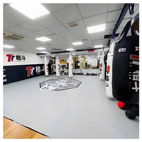40mm Thick Anti Static Pu Material Mma Rollout Mat Non Slip Wrestling