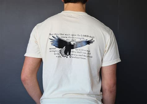 Wings As Eagles Chasing Sunshine Co