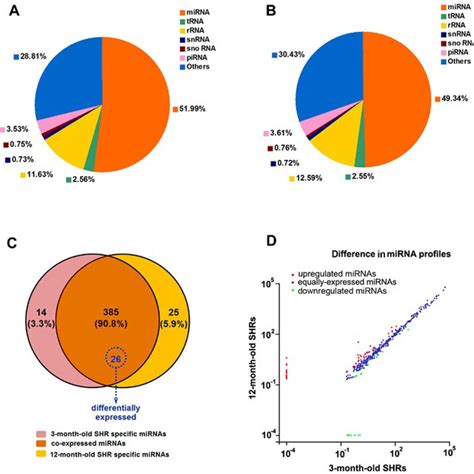 High Throughput Small Rna Sequencing Analysis In 3 And 12 Month Old Download Scientific Diagram