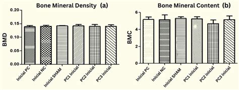 Total Bone Mineral Density Gcm 2 A And Bone Mineral Content G