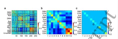 The Temporal Co Occurrence Matrix That Describes The Functional Download Scientific Diagram