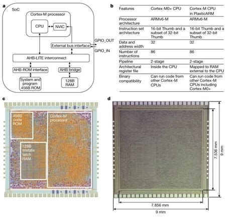 Silicon Who Researchers Develop Arm Microprocessor Built Out Of Plastic Tom S Hardware