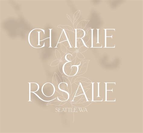 Serif Font Bundle Modern Font Bundle Branding Fonts Handwritten Font Bundle Logo Fonts