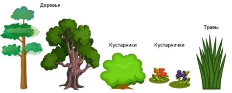 Картинки Кусты Для Детей В Детском Саду — Mixyfotos.ru