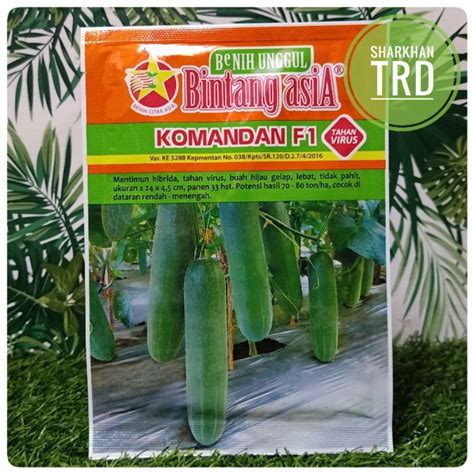 Paket 10 20g 400 800 Biji KOMANDAN F1 Bintang Asia Biji Benih Timun Batang Hybrid Cucumber