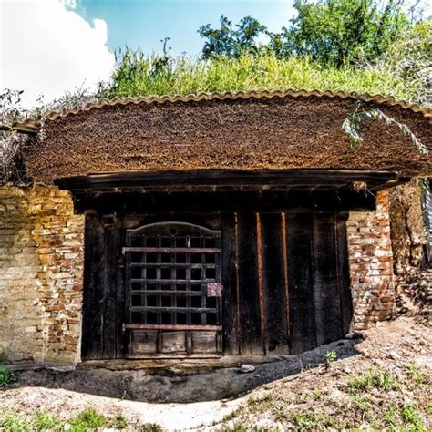 Brick Cellar Salacea Download Scientific Diagram