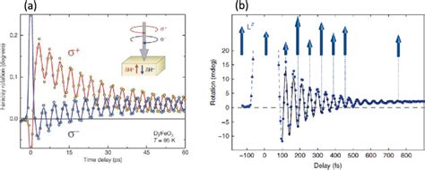 Spin Dynamics Triggered By Femtosecond Laser Pulses In Magnetic