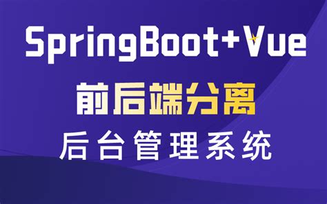 手把手搭建一个springbootvue前后端分离的java项目 Vue项目 后台管理系统 权限管理 项目实战 自学编程 一起看电视喽 默认