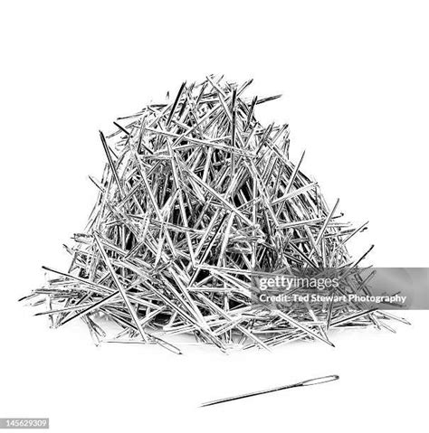 Needle Haystack Concept Photos And Premium High Res Pictures Getty Images