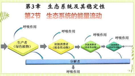 高中生物第2节 生态系统的能量流动获奖ppt课件 教习网课件下载