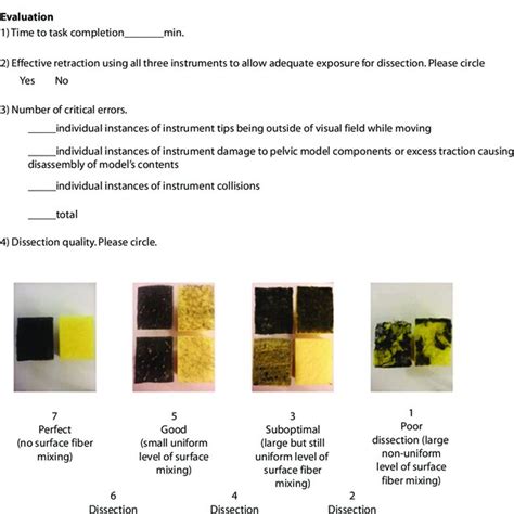 Construct Validity Evaluation Tool Download Scientific Diagram