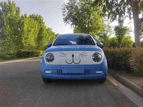 Used Gwm Ora Black Cat Guangcaiauto