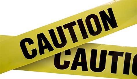 Bed Bug Exterminator Nyc Extermination Treatment And Removal In