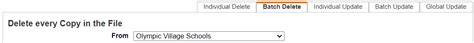 use the batch delete sub tab