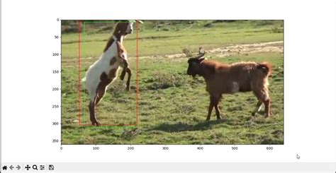 Computervision Machinelearning Tracking Votchallenge Deeplearning