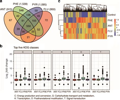 Transcriptomic Analysis During Removal Of Four Different Pahs A Venn
