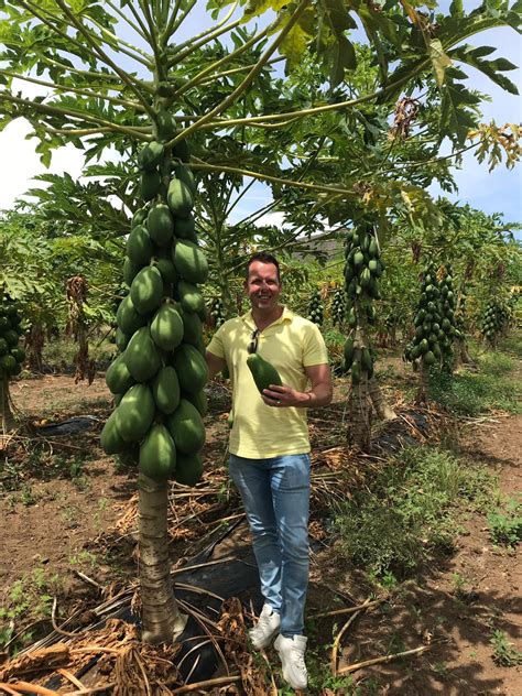 Plezierophetwerk Inspiring Yex Discovered Edwin Van Leeuwen 12 Comments