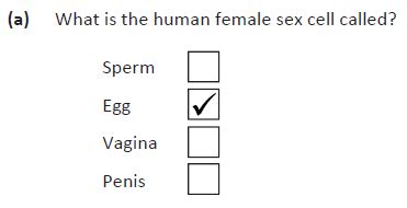 Junior Cert Science SEC Sample Q7