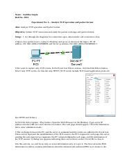 Analyzing TCP Operation Packet Format Hands On Study Guide Course Hero