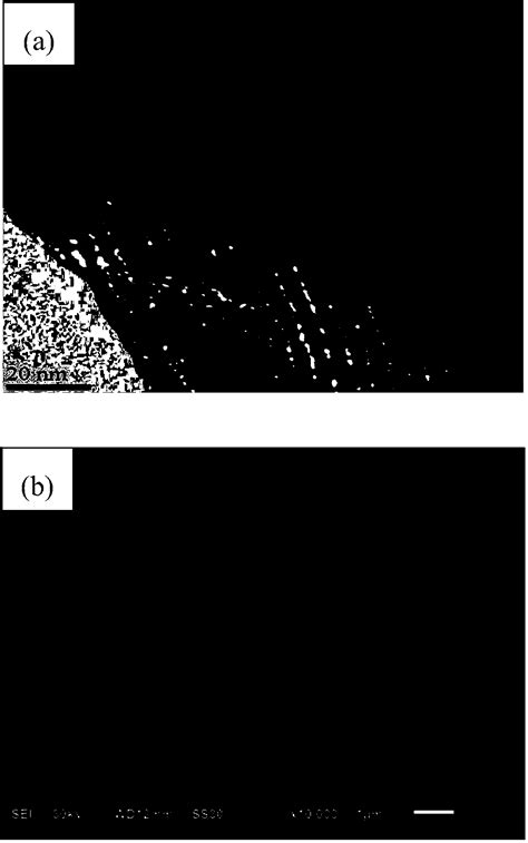 Preparation Method Of Shape Controllable Ordered Layer Porous Chromium