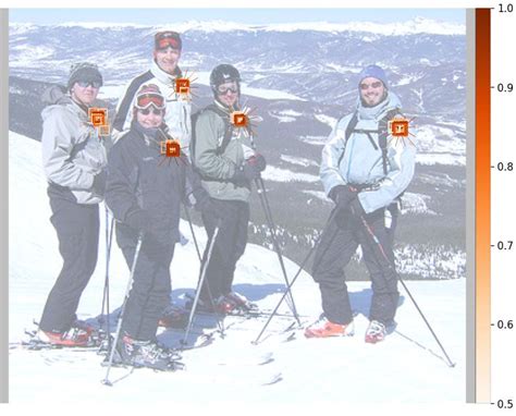 Examples Openpifpaf Guide