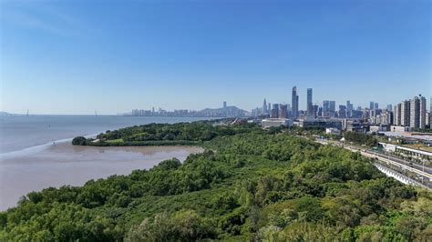 전력 수소 전력 낭비 제로中 재생에너지 저장∙활용 솔루션 제공 Xinhua